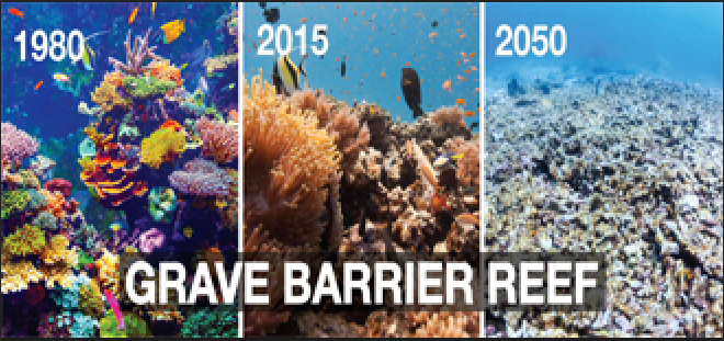 Saving The Great Barrier Reef