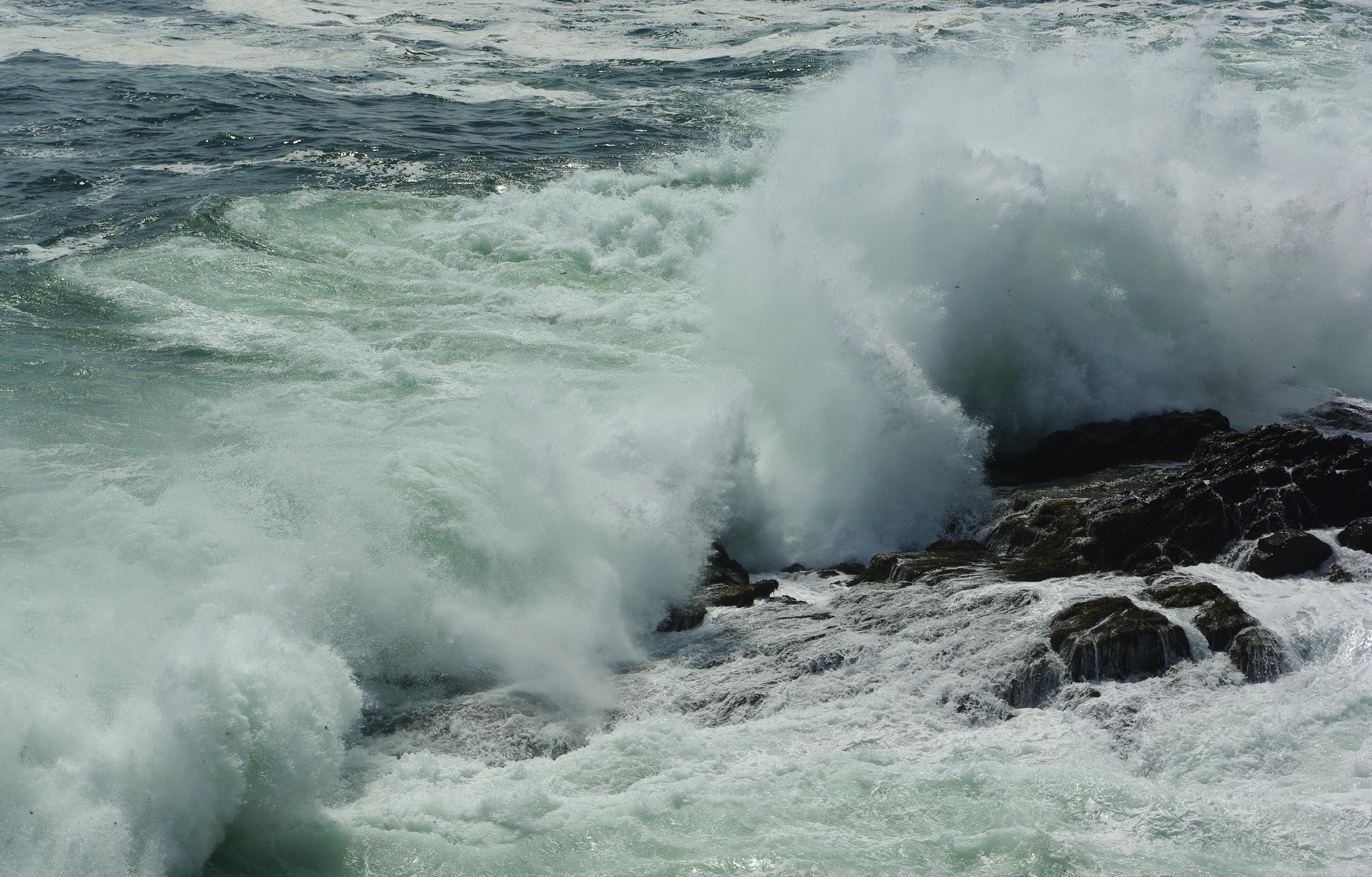 Hydrological Disasters