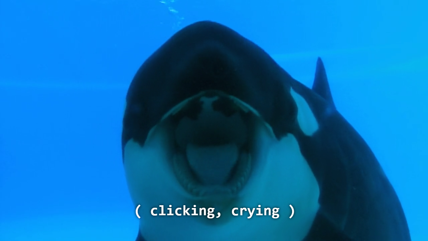 Blackfish: A Rhetorical Analysis