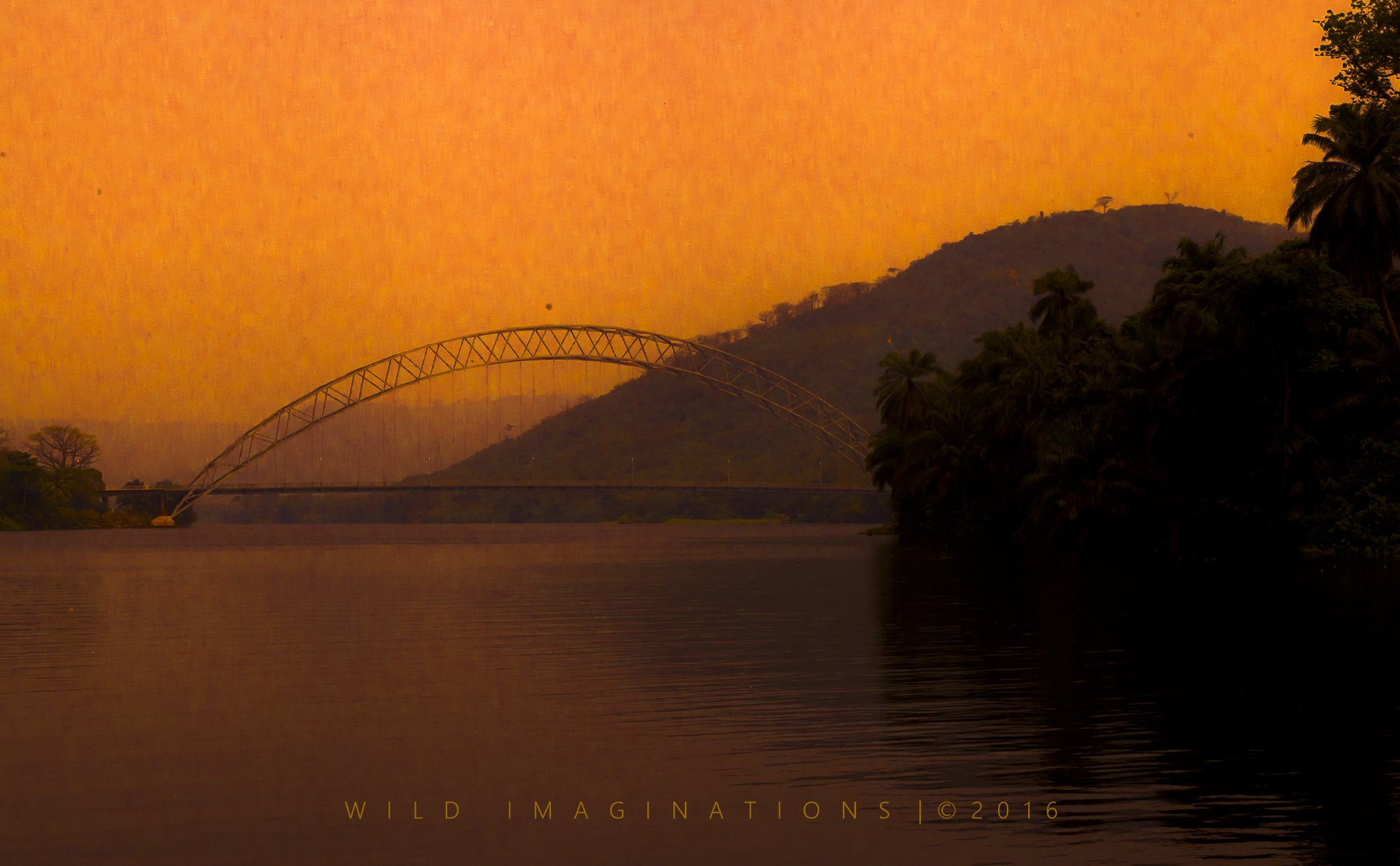 WildImaginations
