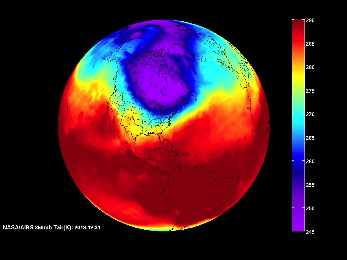 Should people put more Focus on the Effects of Climate Change on Organisms?