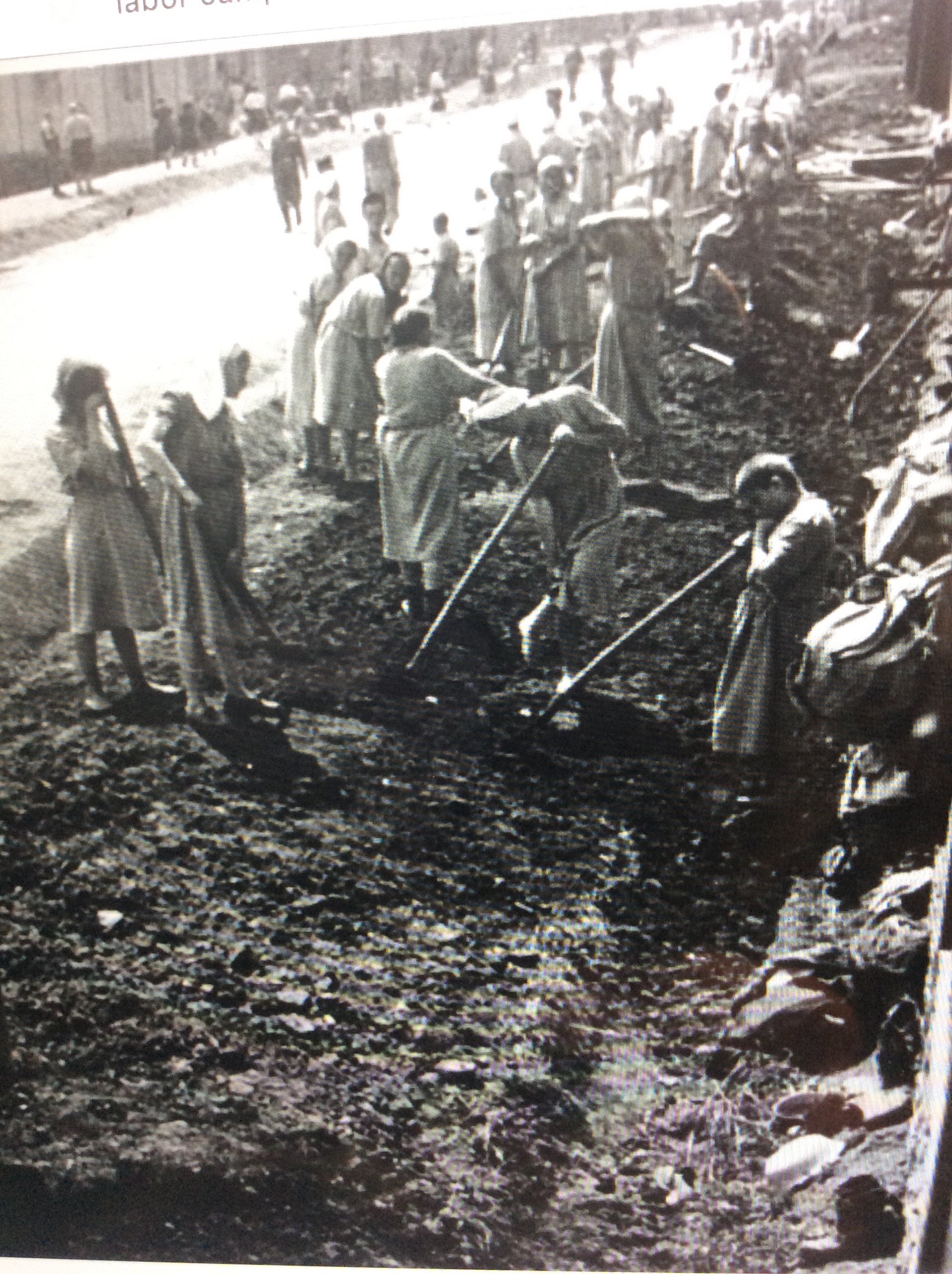 Forced Labor Camps