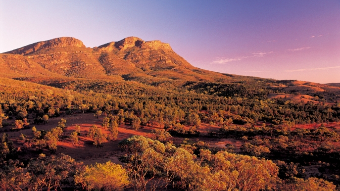 The Outback Food Web