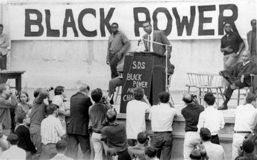 Malcolm X / Black panther