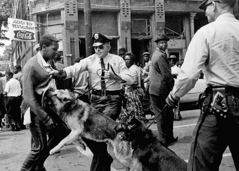 African American Studies