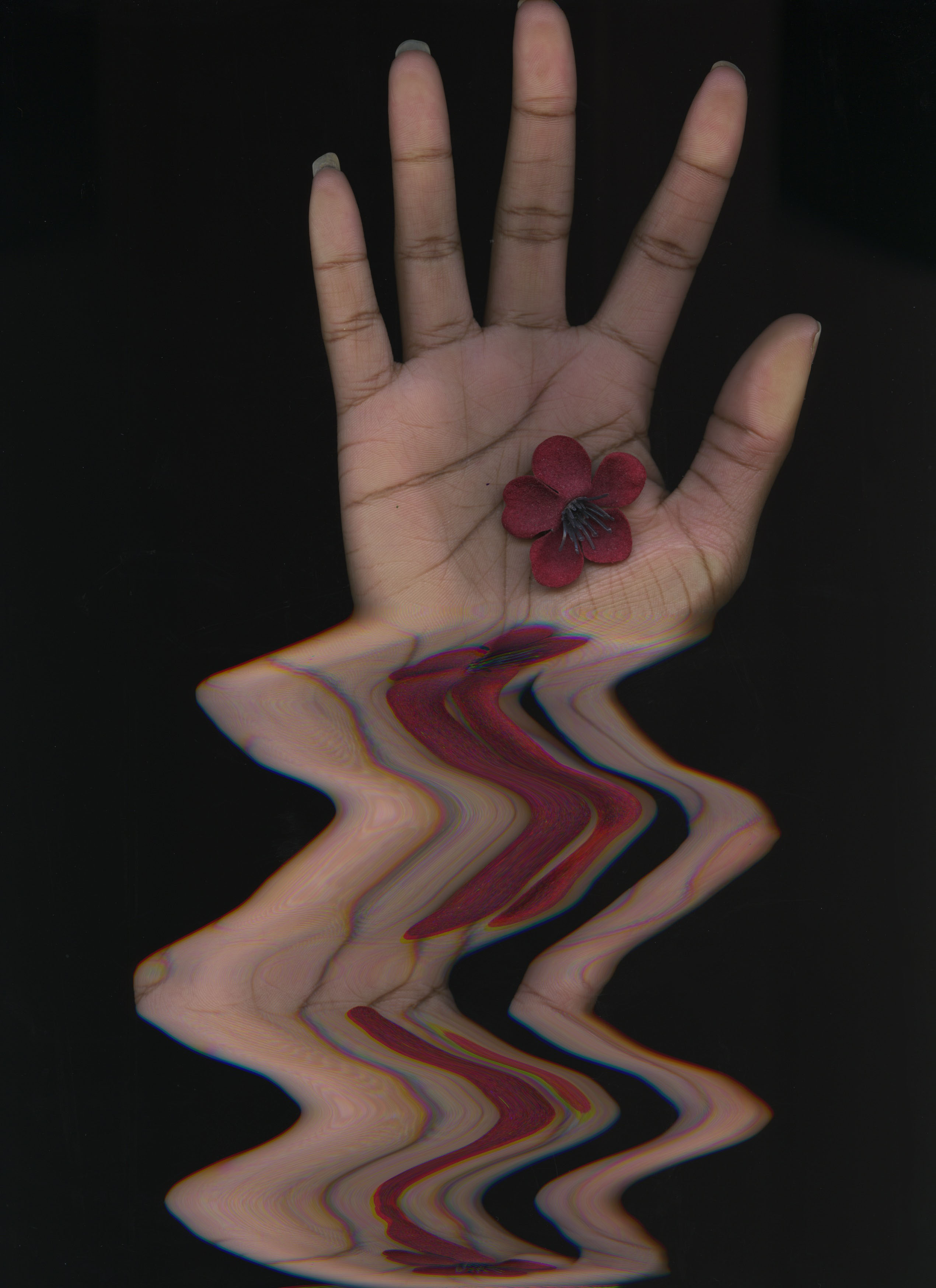 Scanography: Distortion & Movement