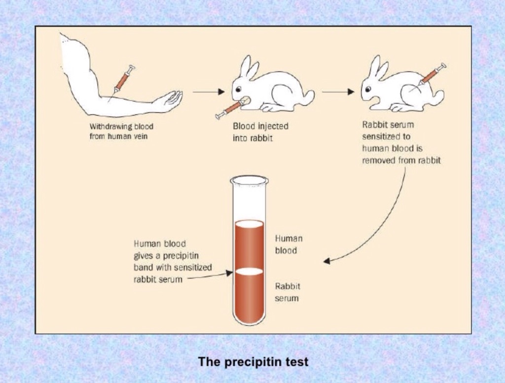 The first Blood test