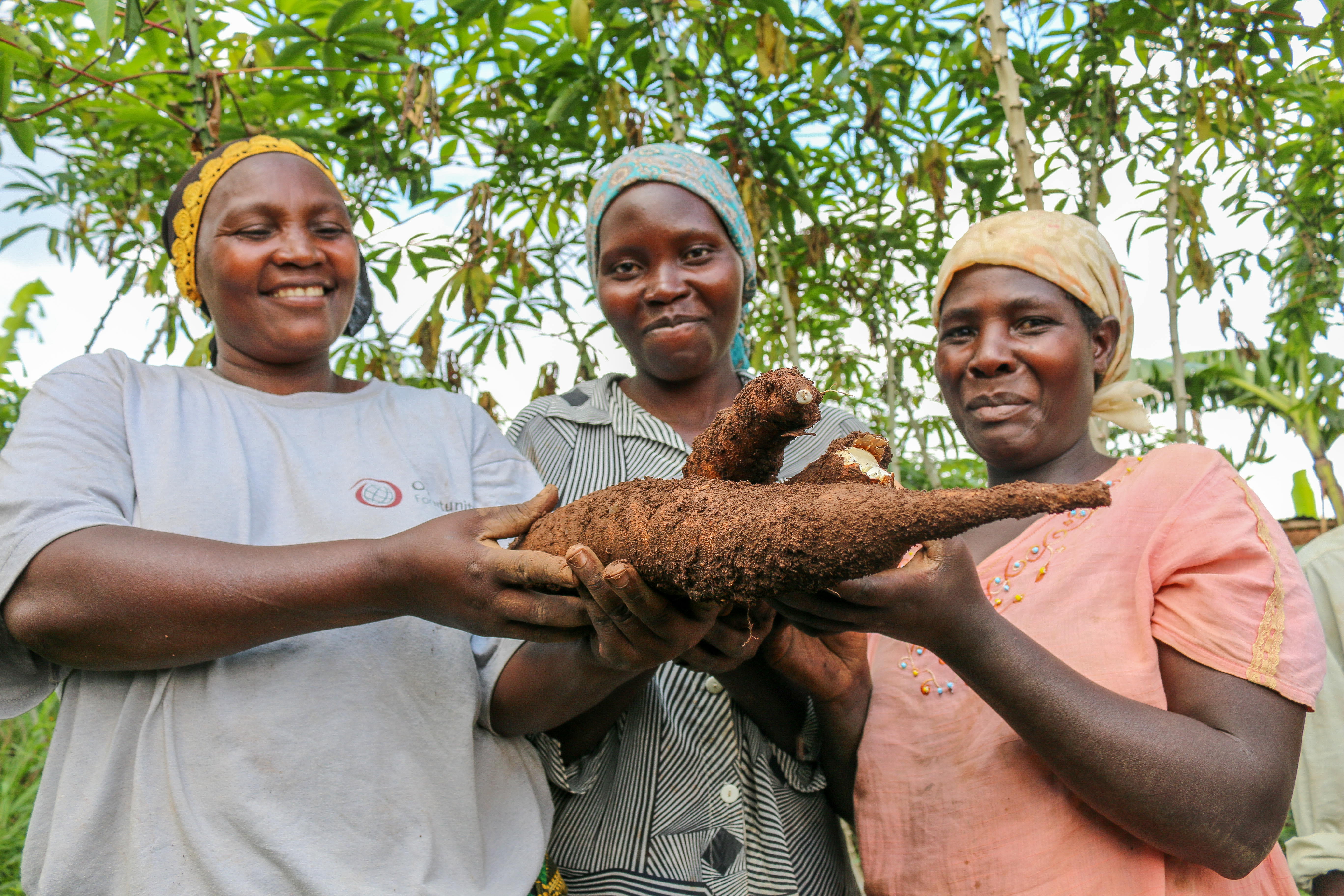 Creating change with Cassava