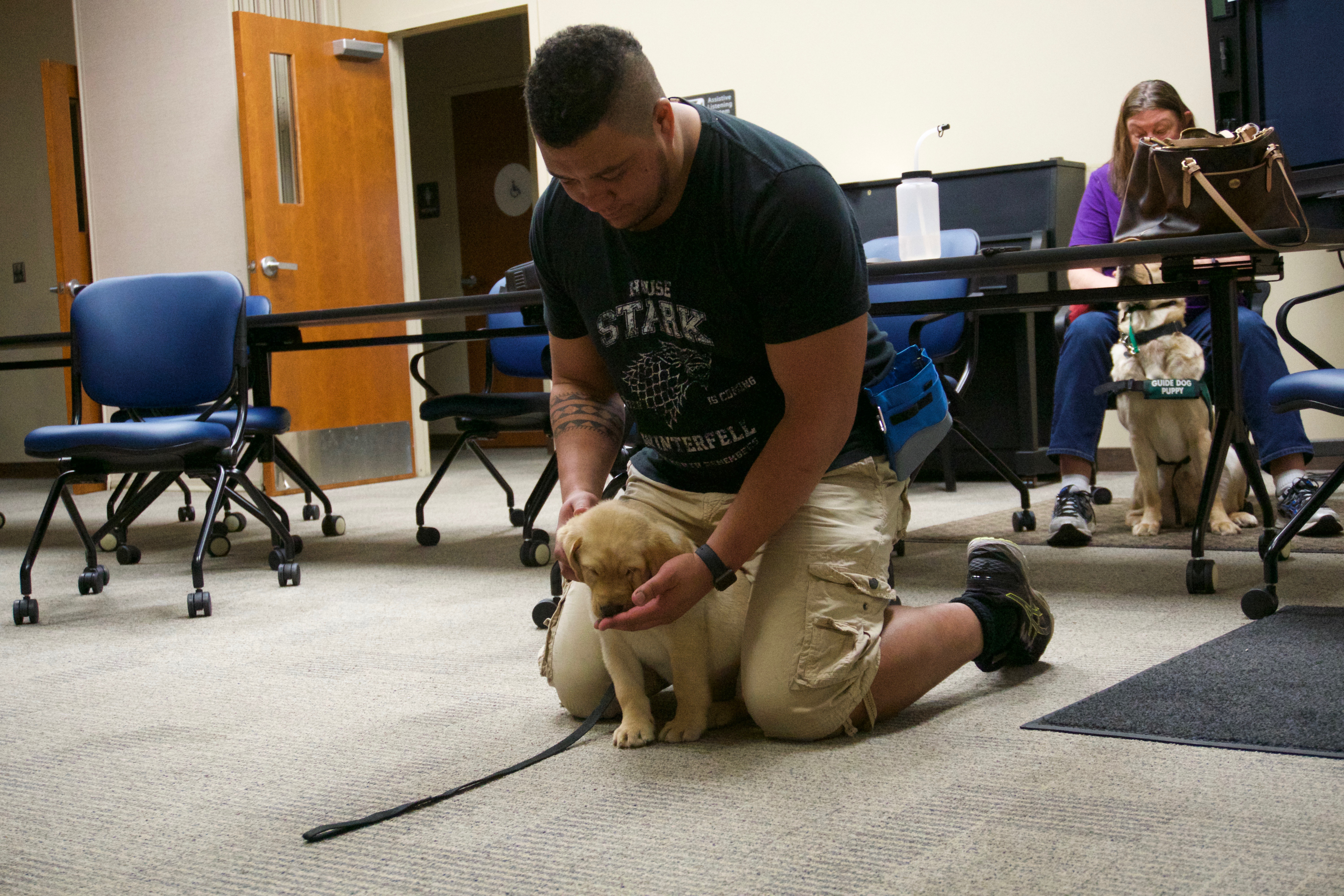 The Process of Raising Guide Dogs for the Blind