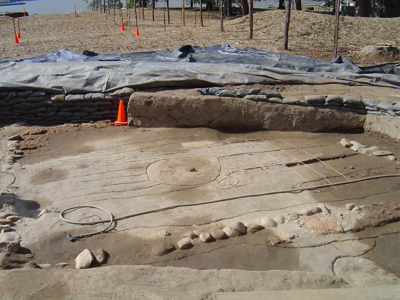 Cannibalism in Jamestown