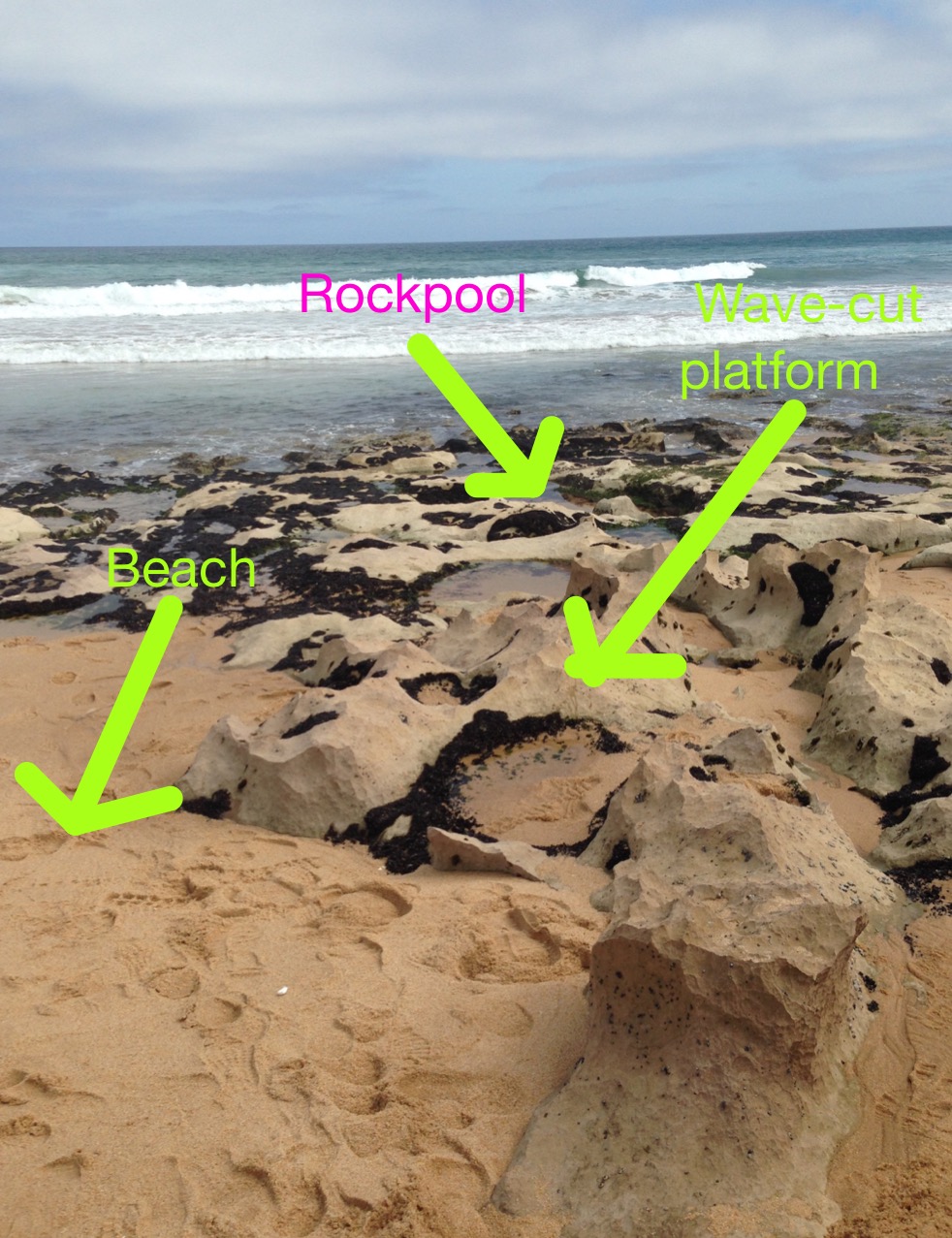 Geography Coastal Fieldwork Report