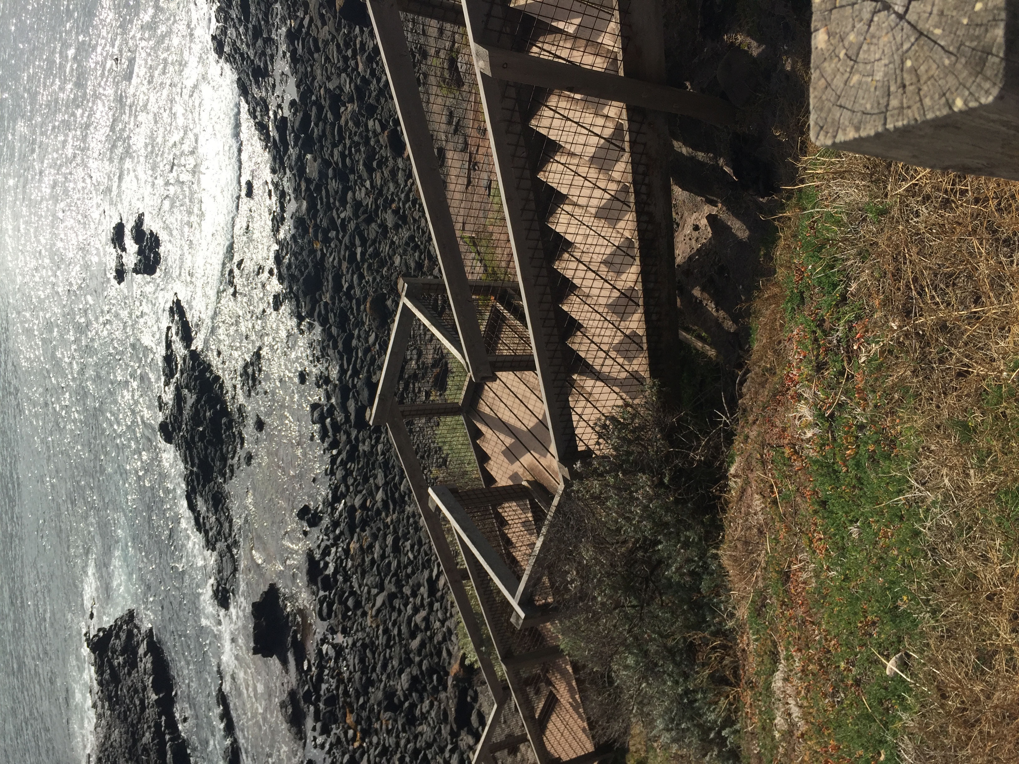 Geography Coastal Fieldwork Report