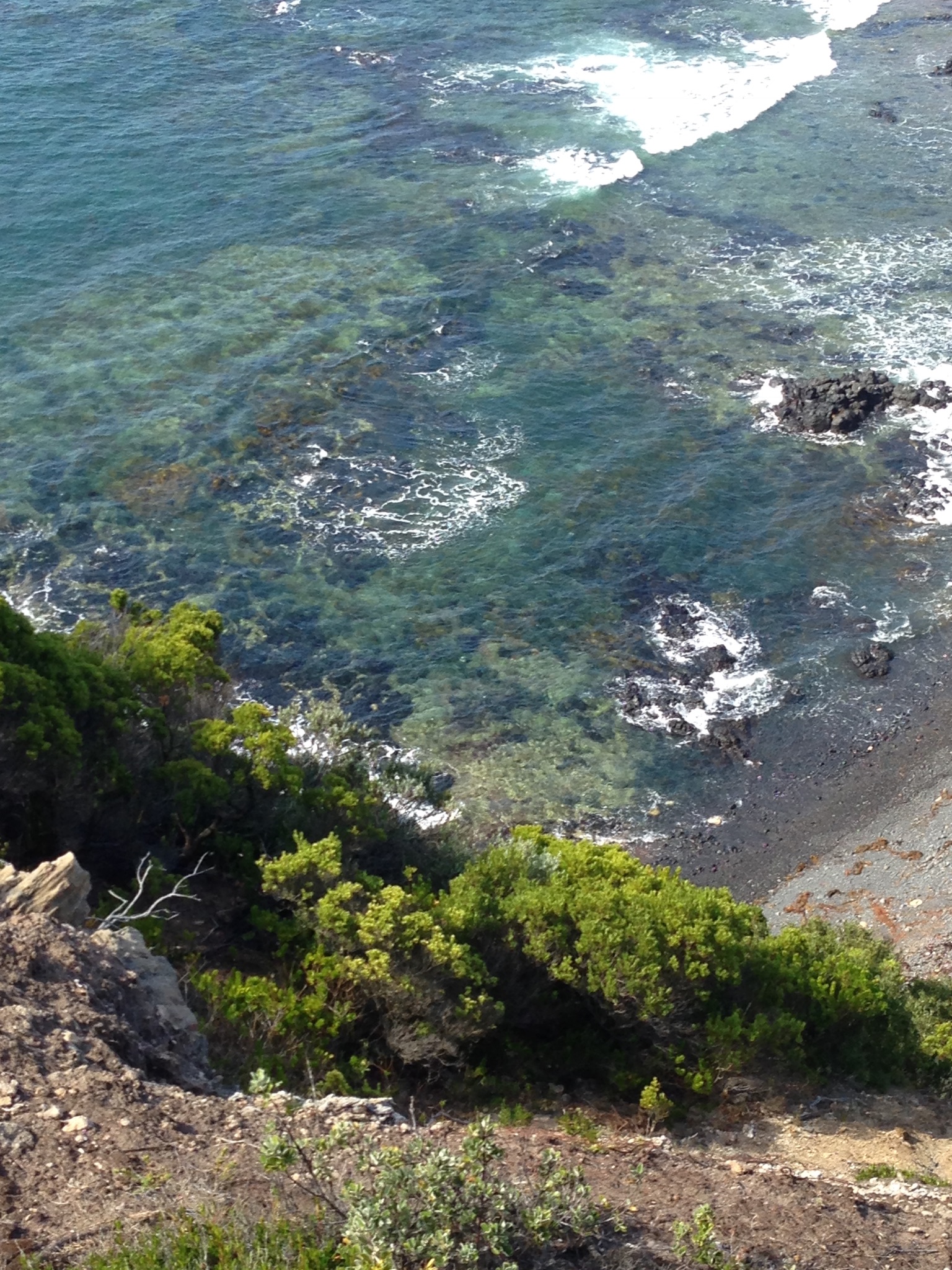 Geography Coastal Fieldwork Report