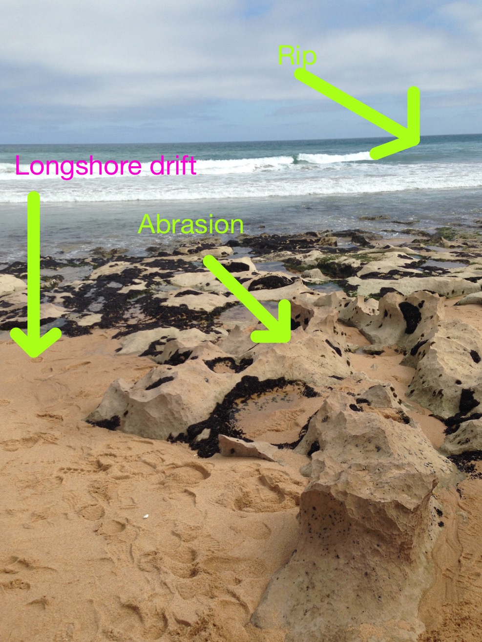 Geography Coastal Fieldwork Report