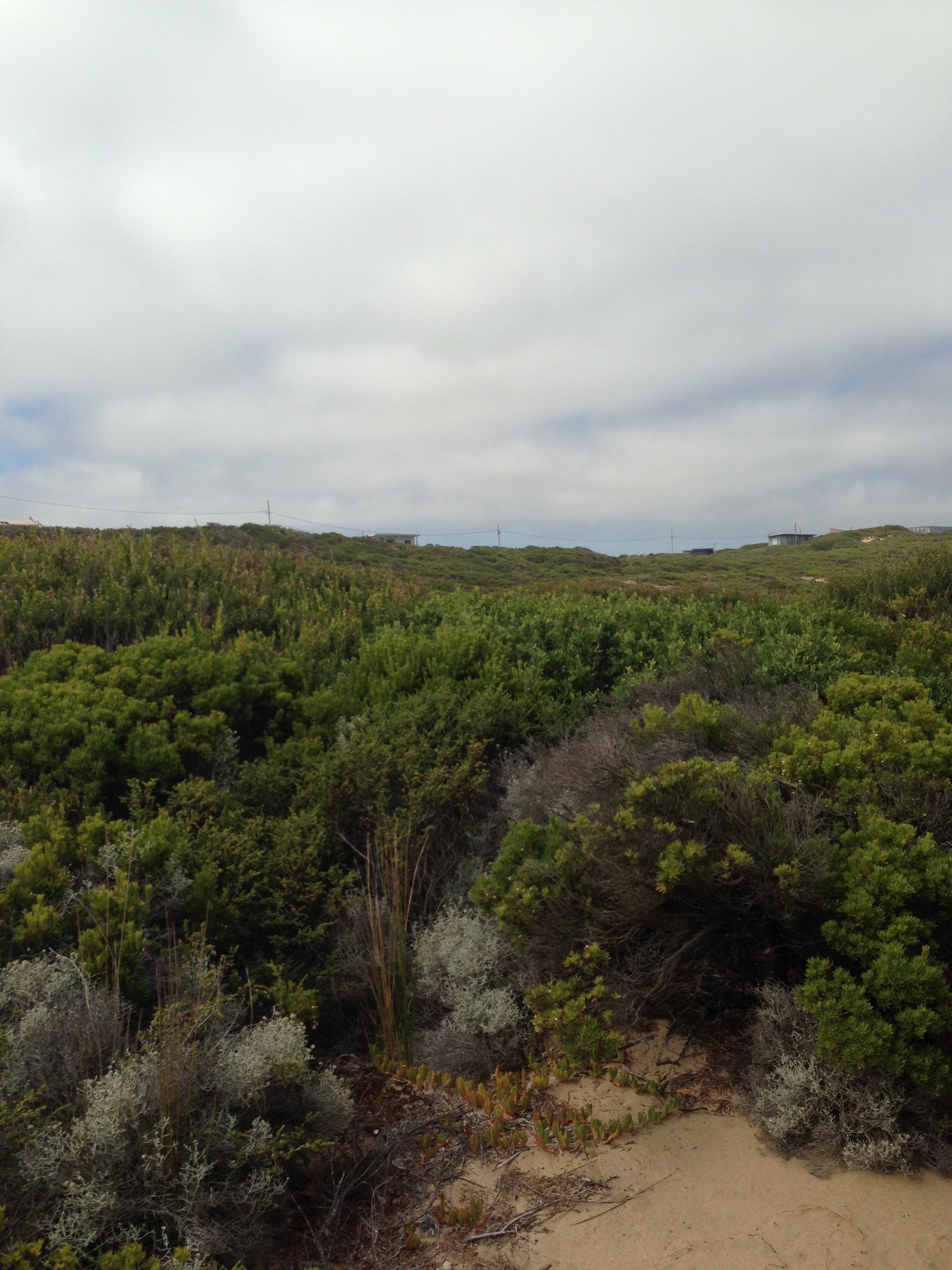 Geography Coastal Fieldwork Report