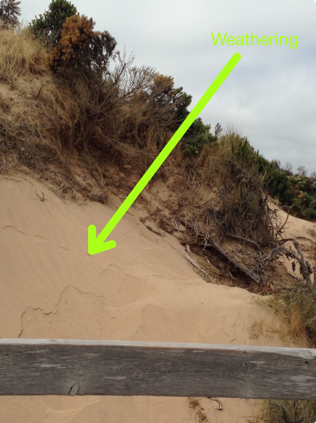 Geography Coastal Fieldwork Report