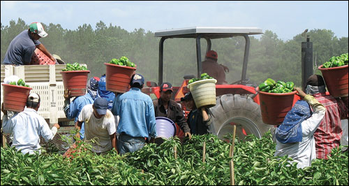 Working Conditions in Mexico
