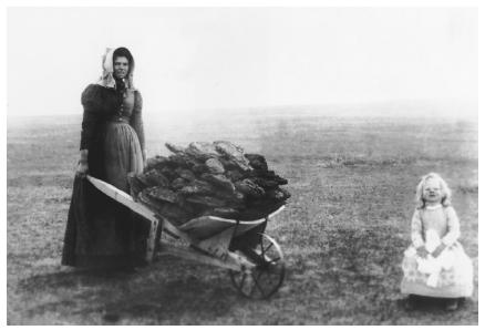 The Life of Women Homesteaders