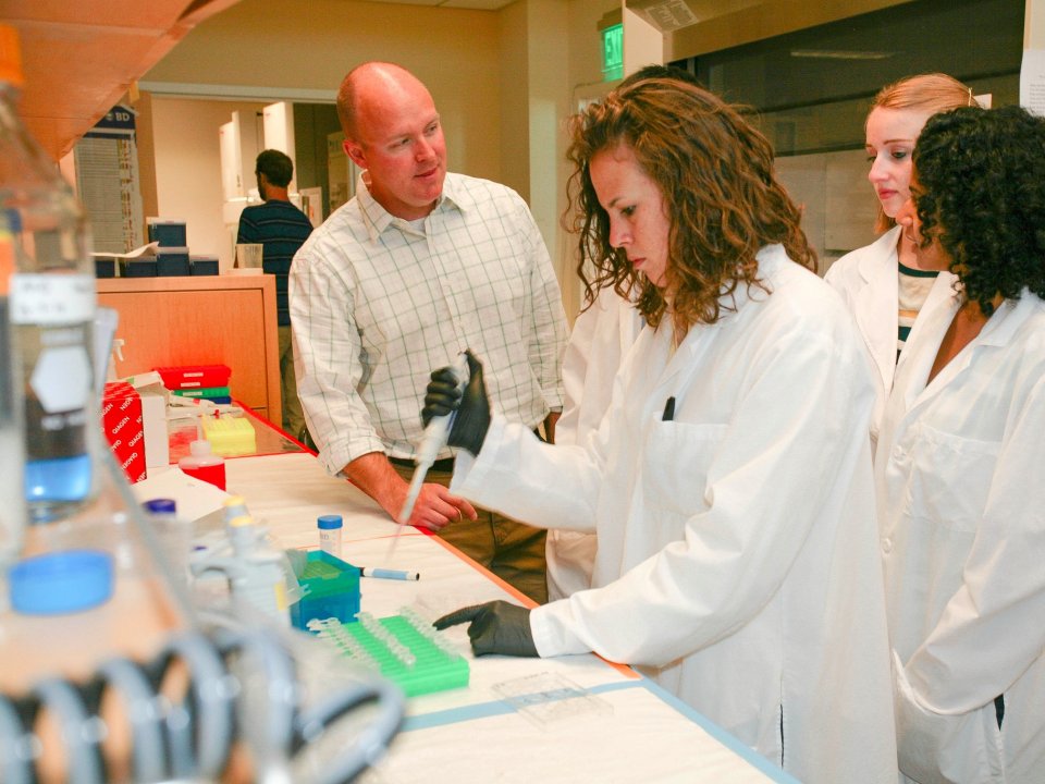 Biomedical Engineers