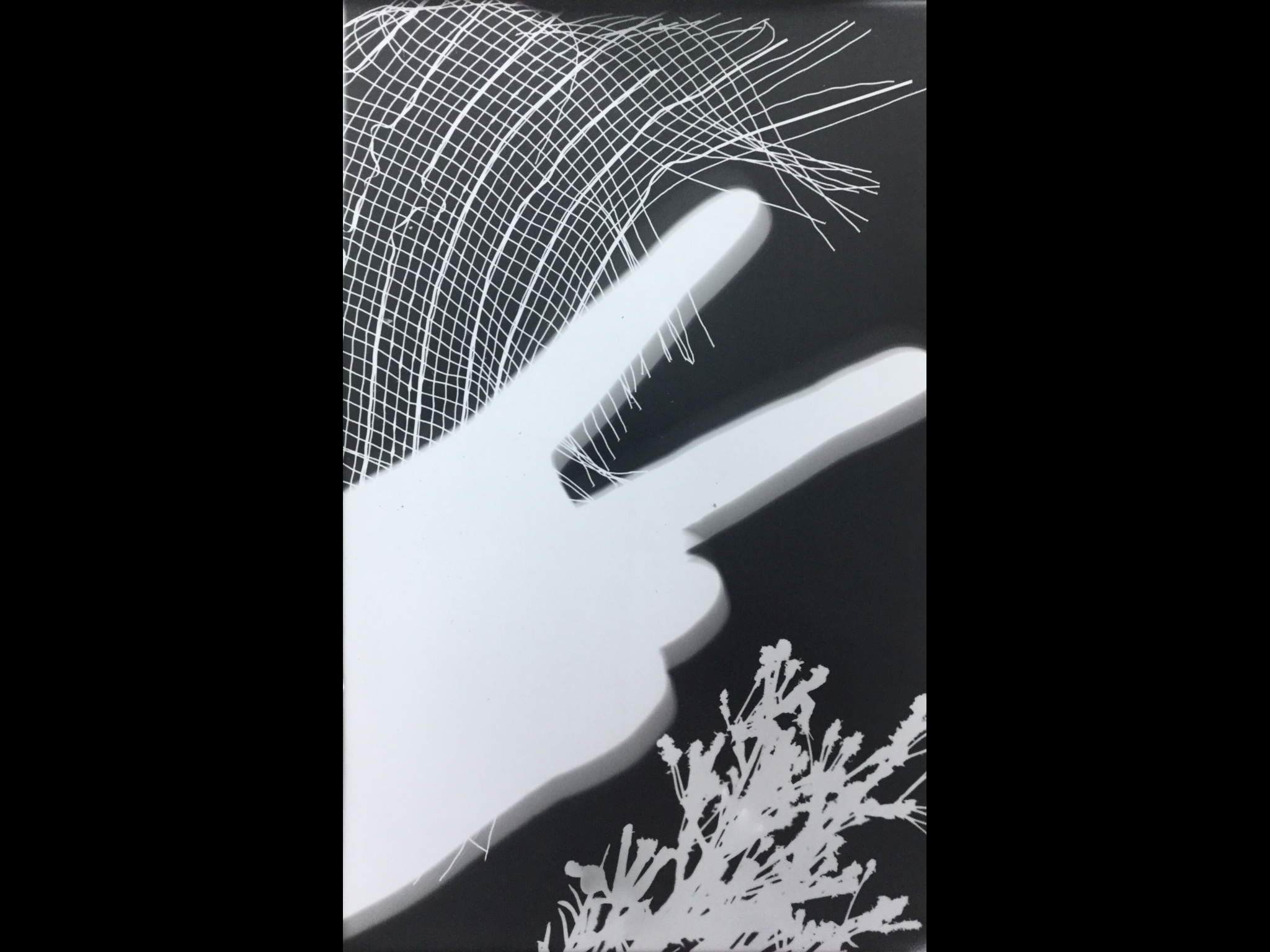 2016-2017 Negative Photography