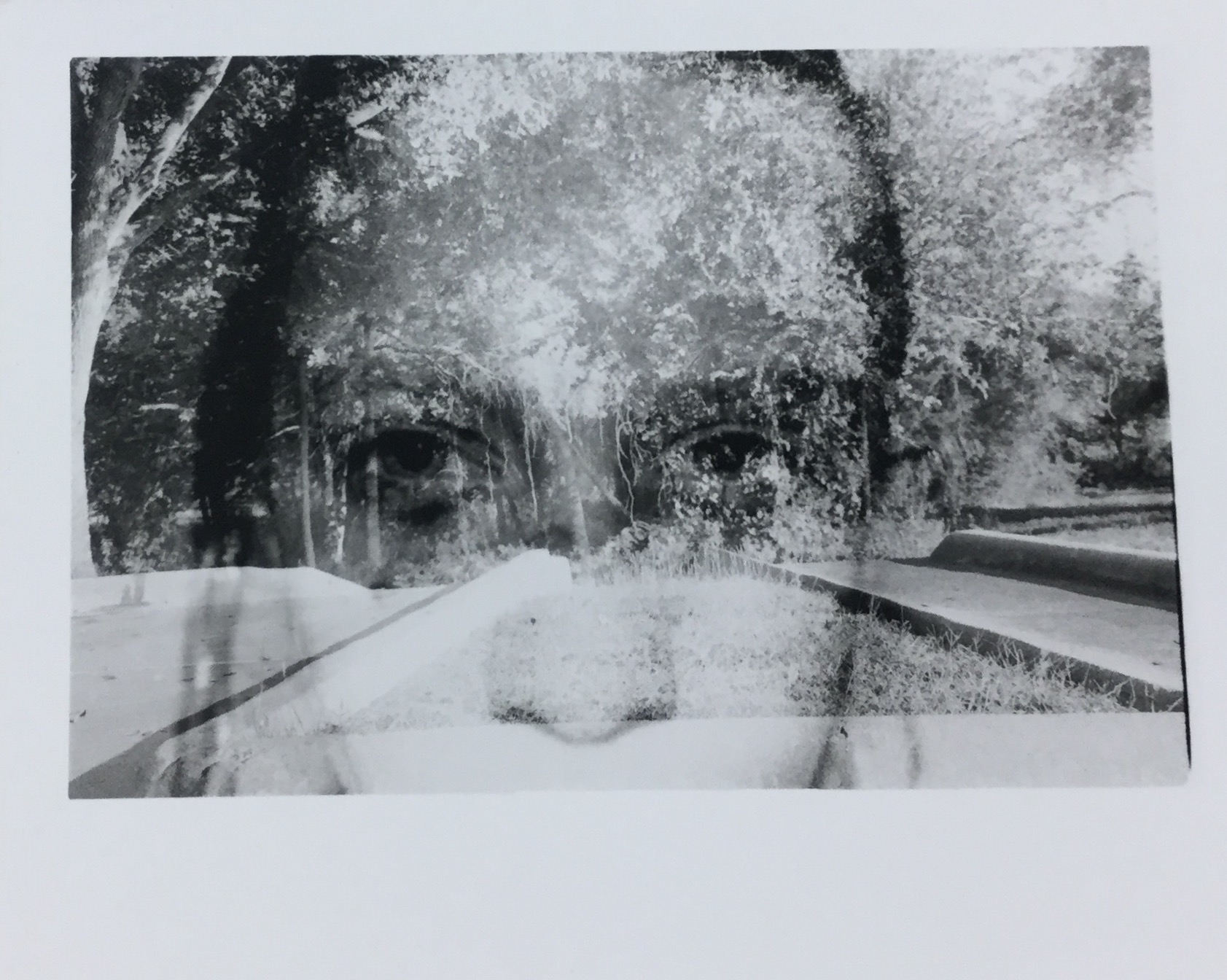 2016-2017 Negative Photography