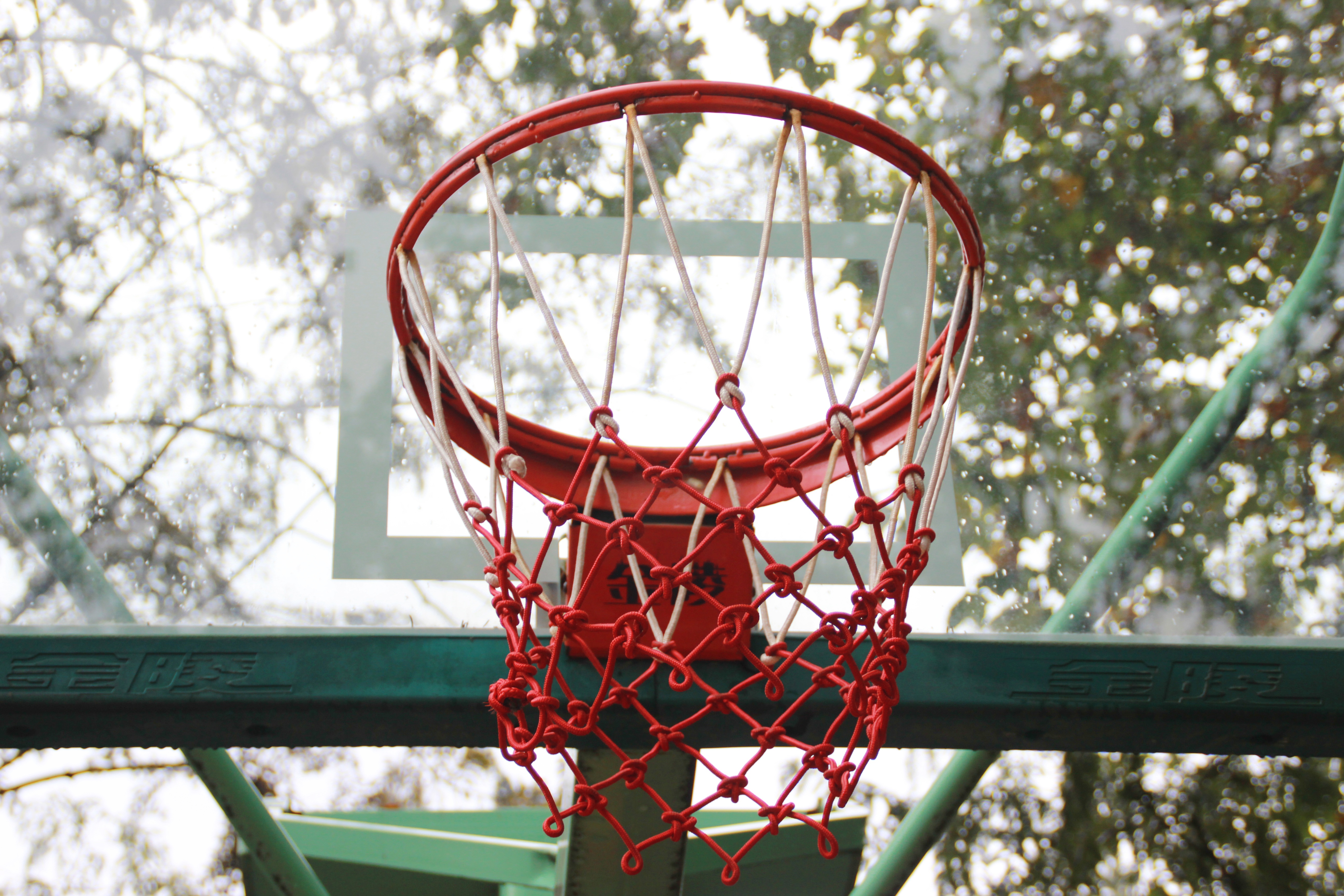 Newton's Laws of Motion in Basketball