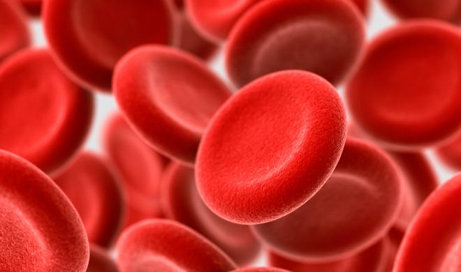 The journey of a red blood cell