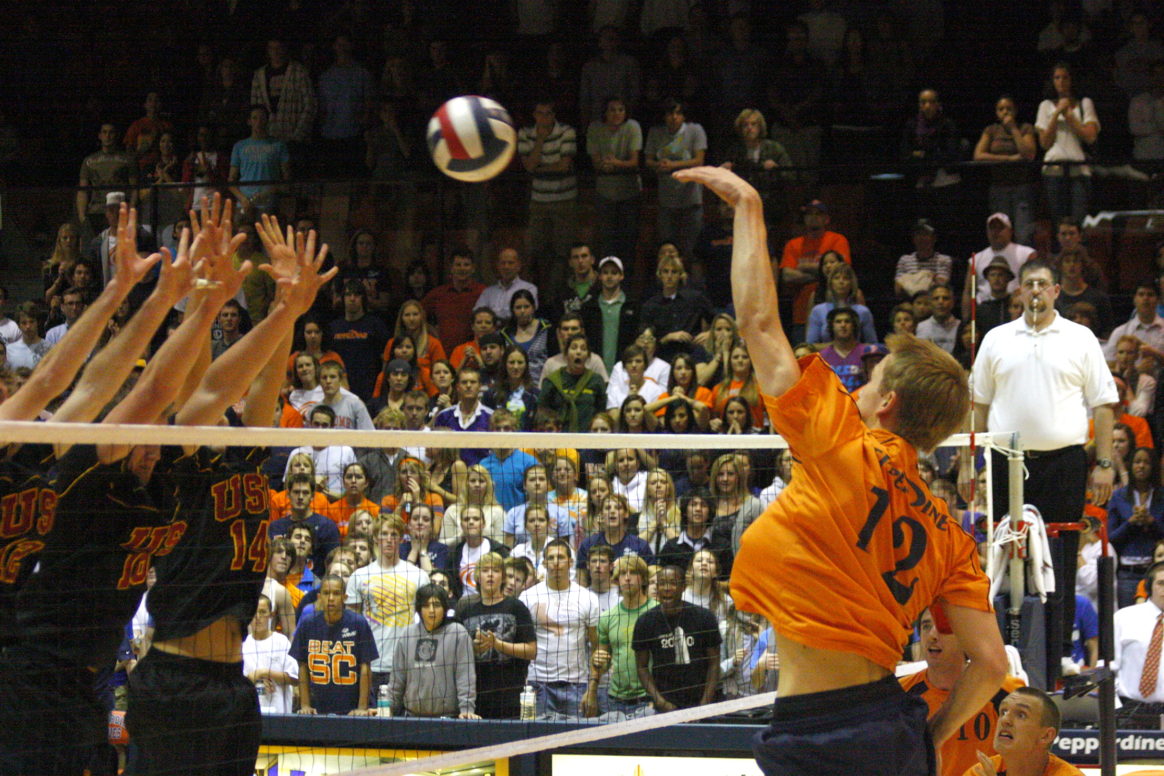 The Muscles used in Volleyball