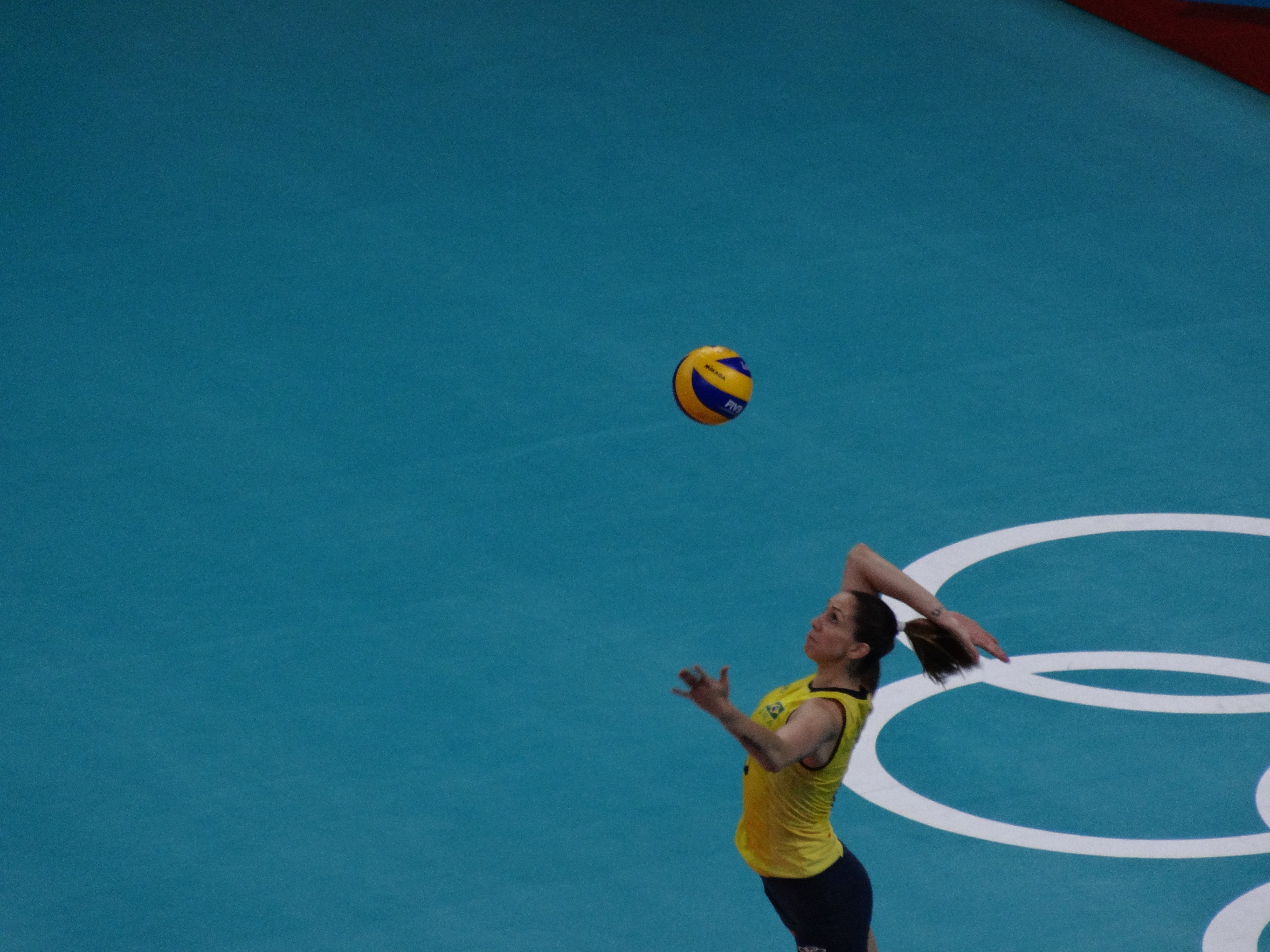 The Muscles used in Volleyball