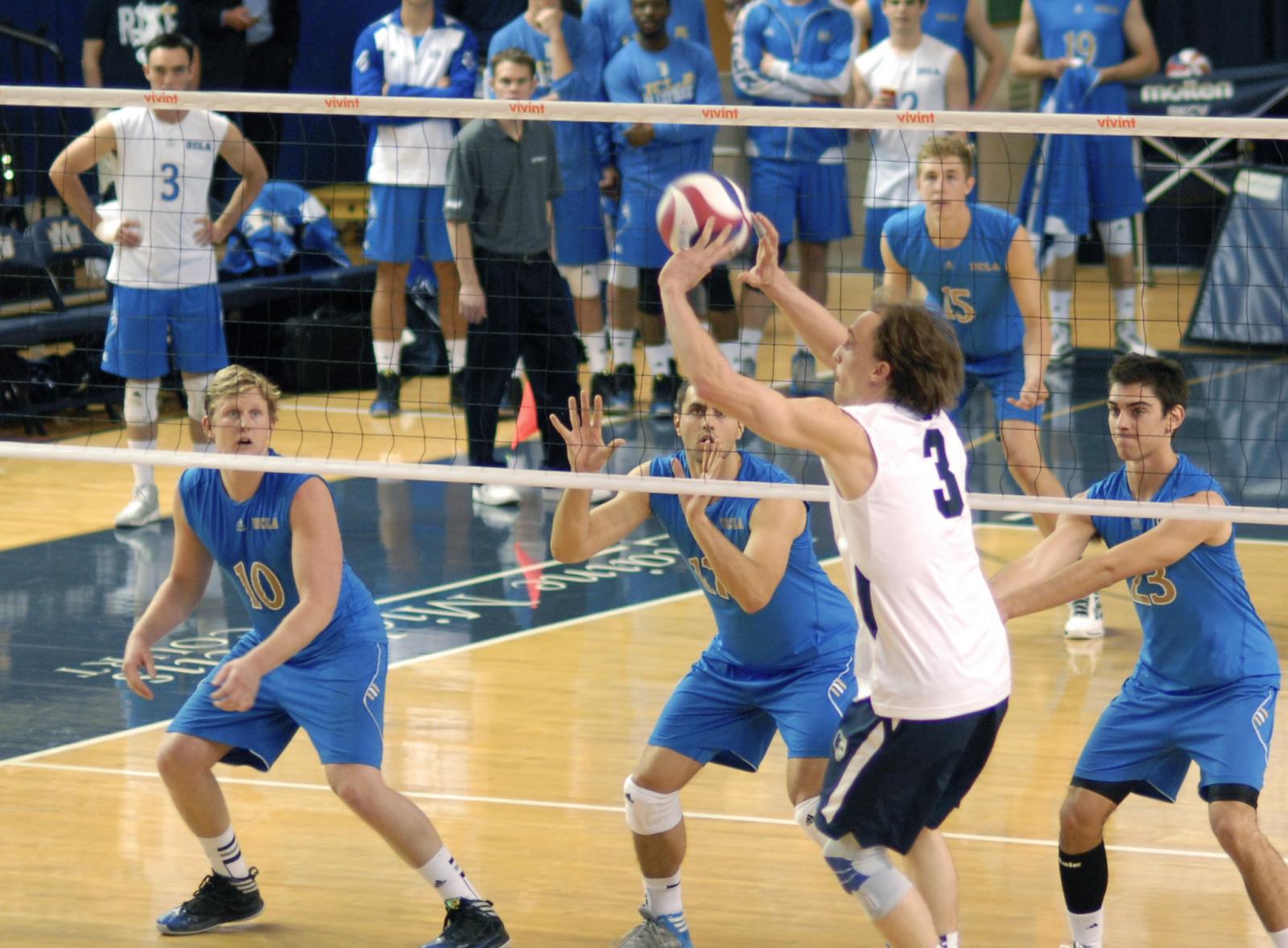 The Muscles used in Volleyball