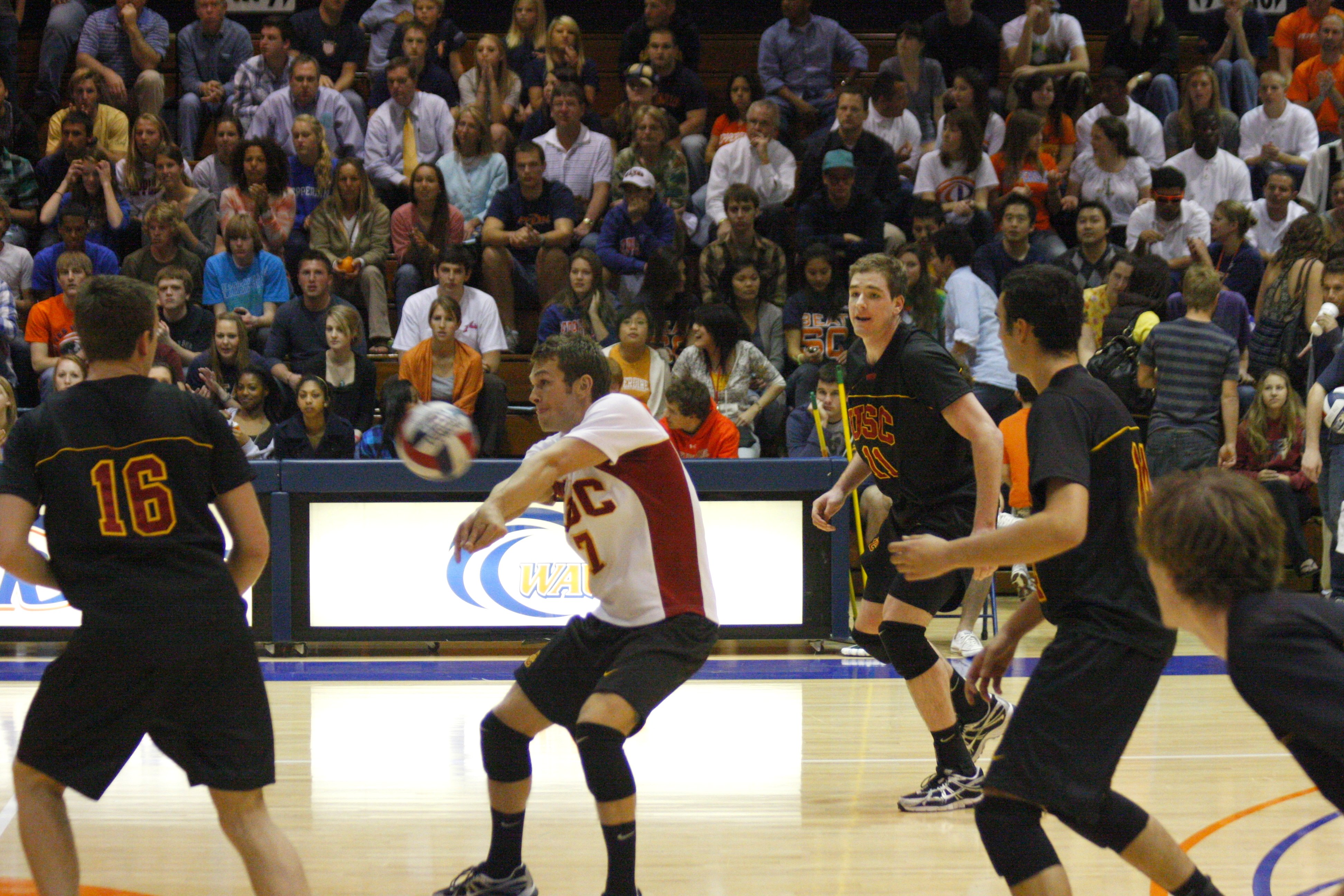 The Muscles used in Volleyball