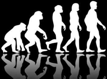 Evolución del ser humano