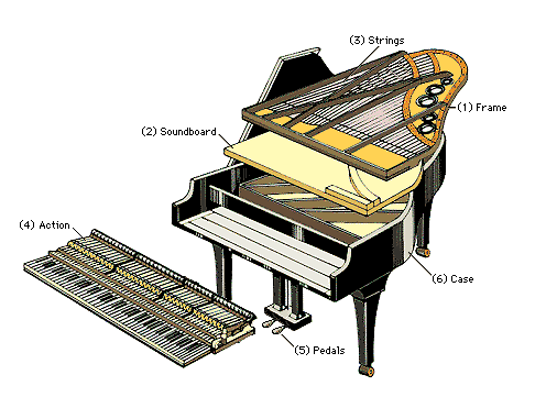 The Physics of Piano