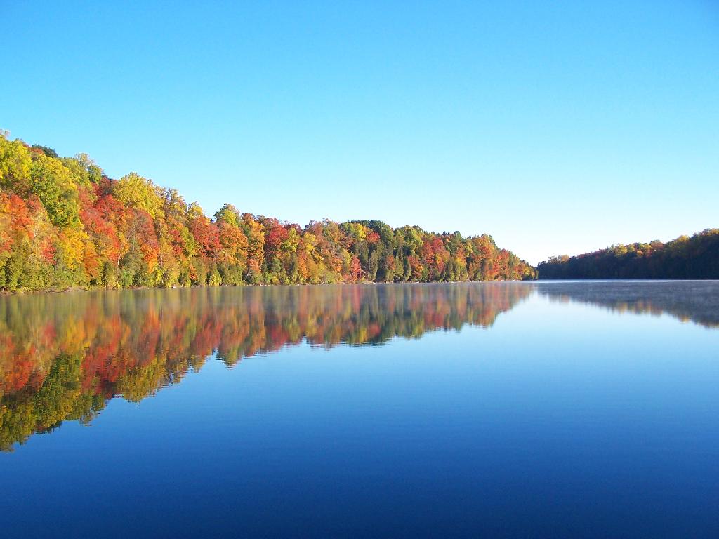 Water Pollution in Lake Onondaga