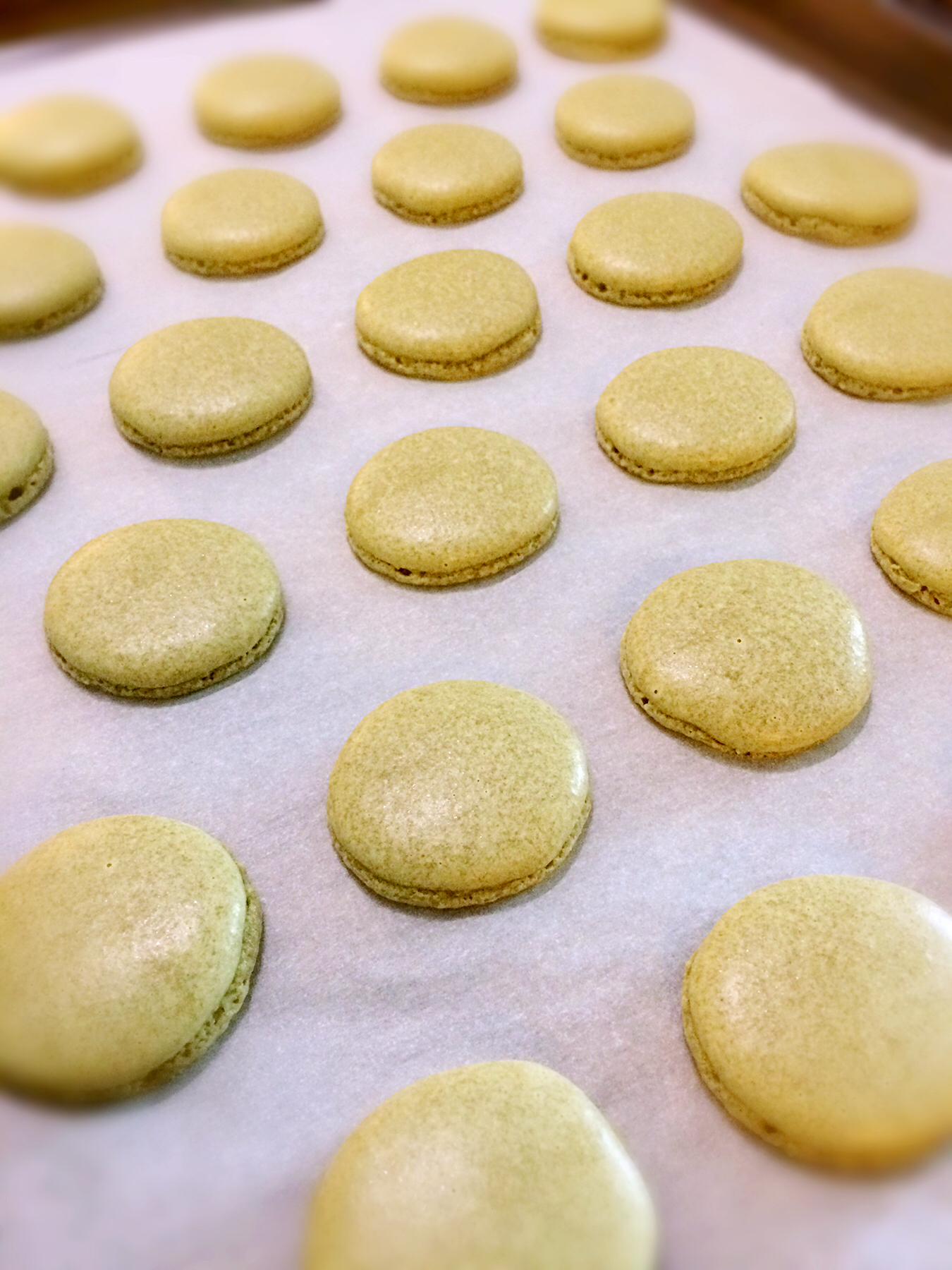 Matcha Macaron
