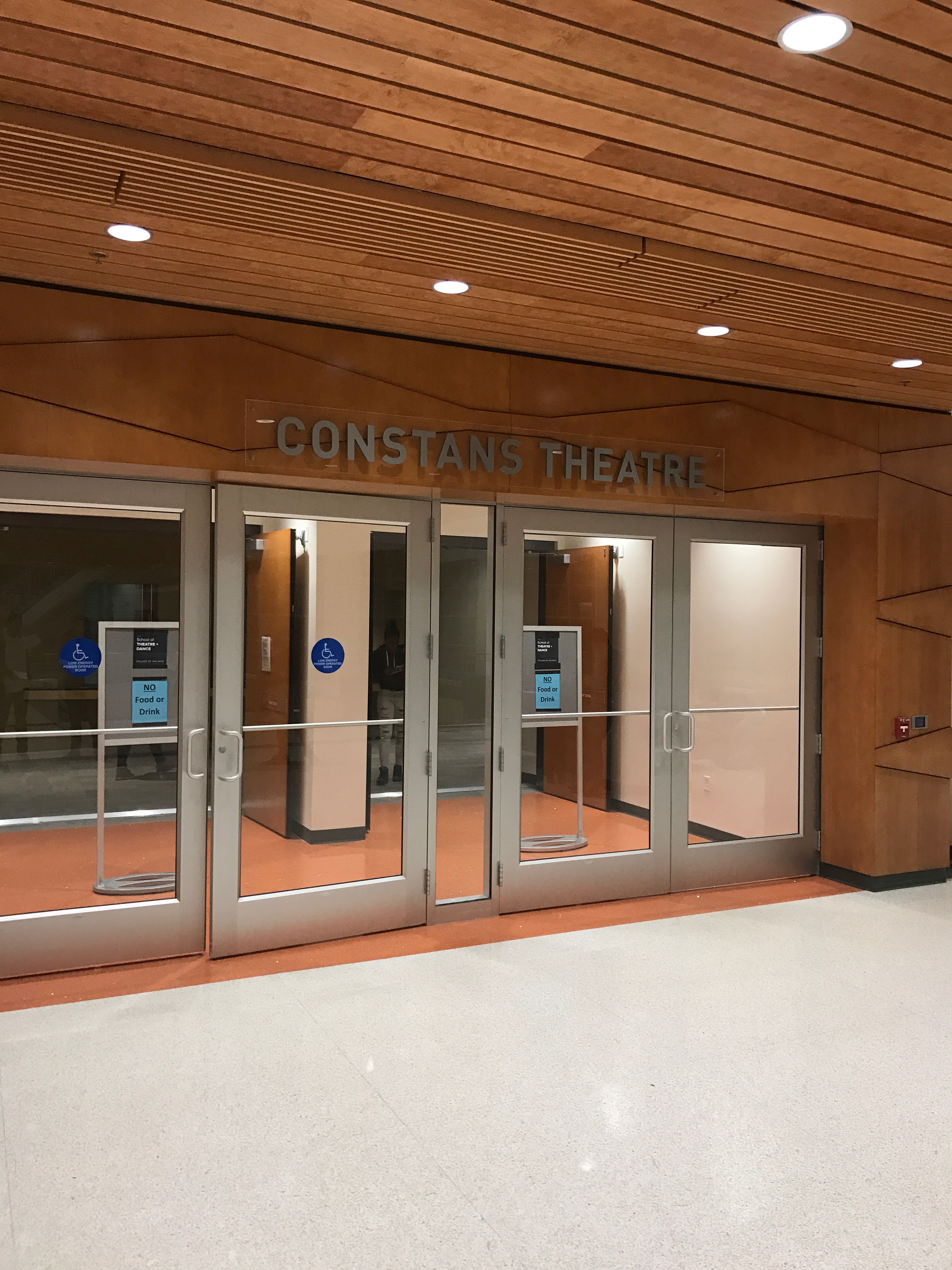 The Divine: A Play for Sarah Bernhardt