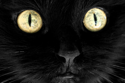 Elizabethan Era Superstitions