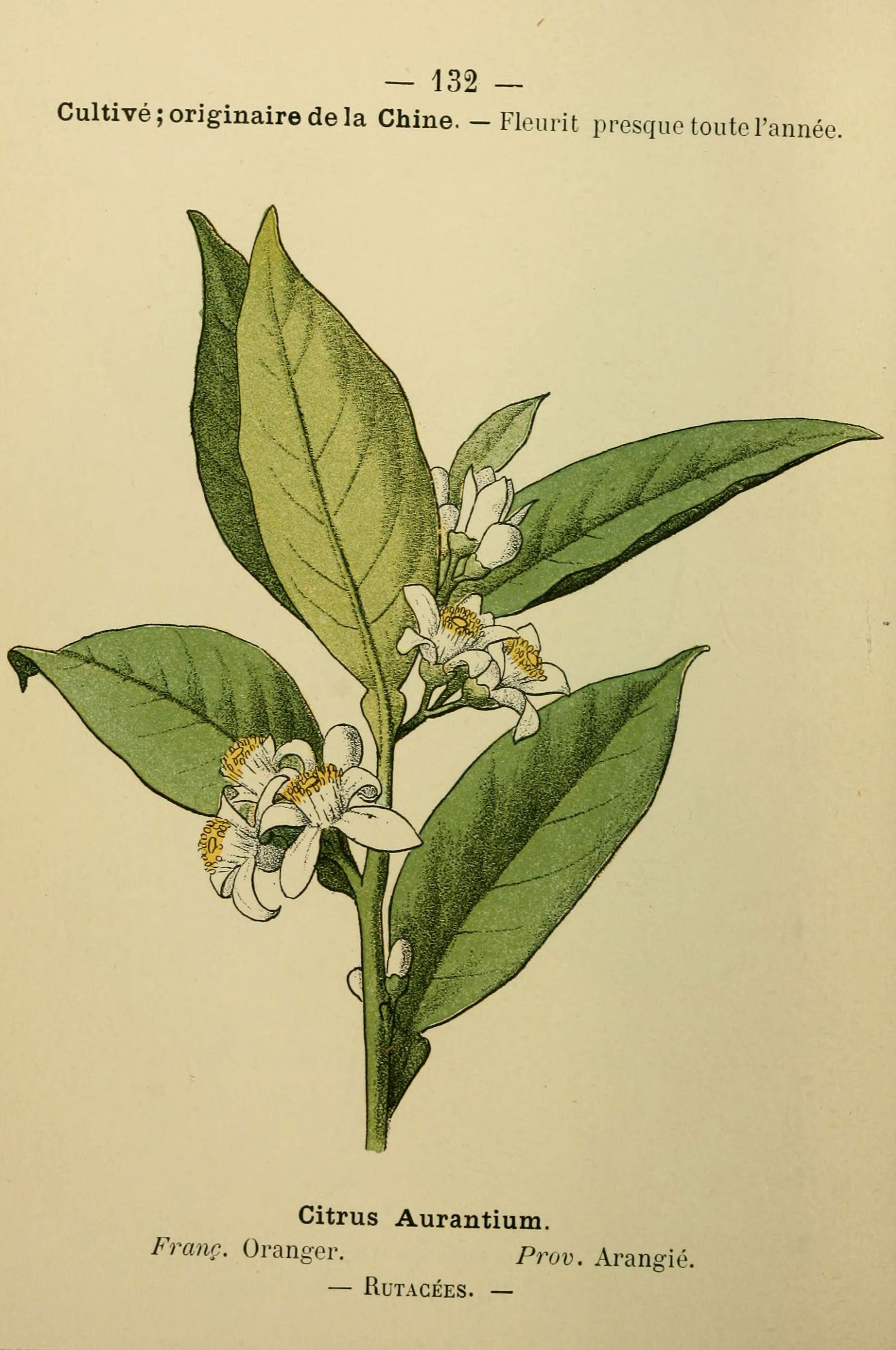 Elizabethan Era Superstitions