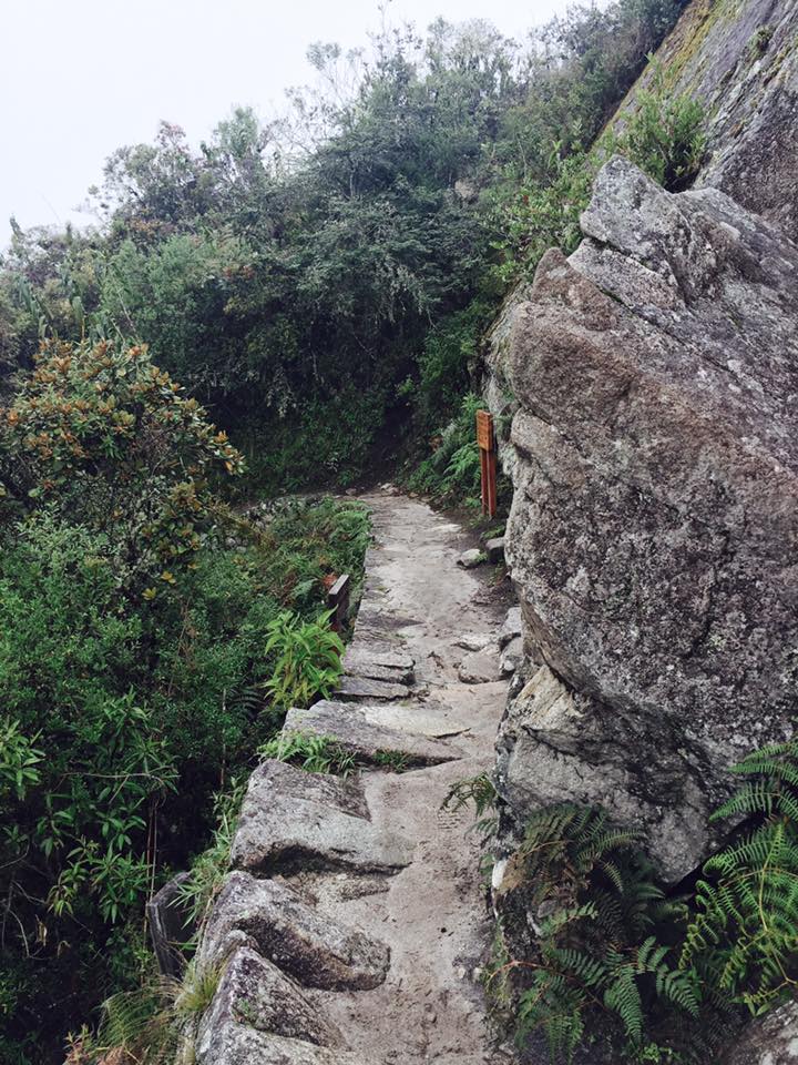 How did the Incan road systems affect the culture and economy of the Incas?