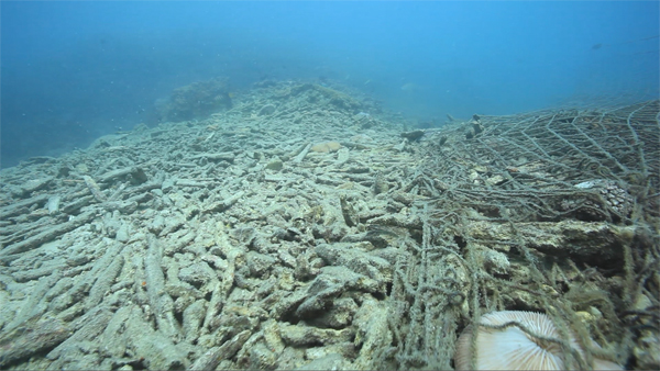 Human impact on coral reefs
