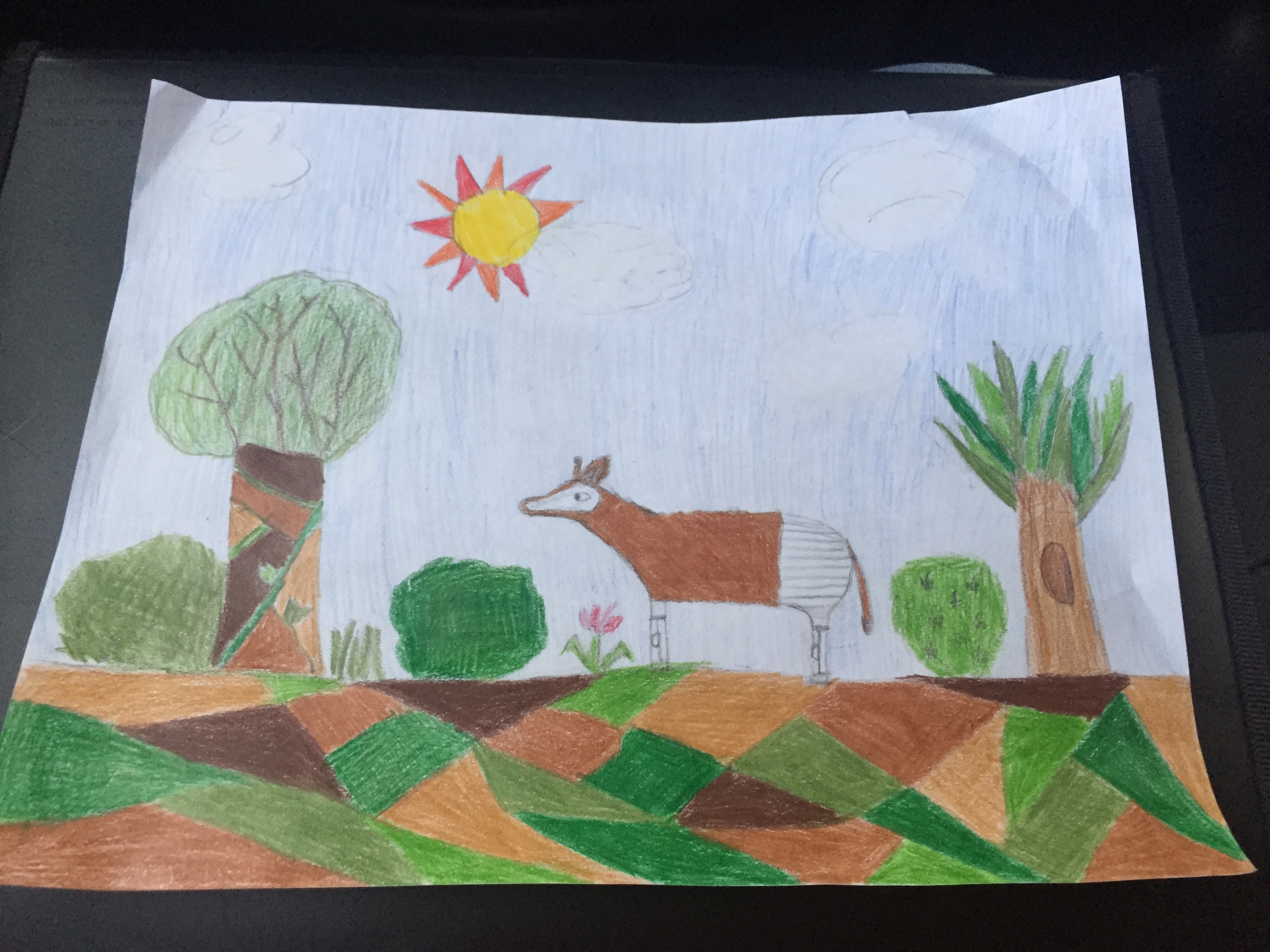 How to Draw an Okapi