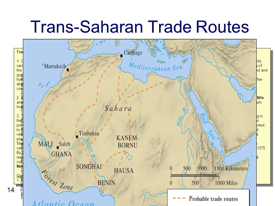 Africa: Past and Present