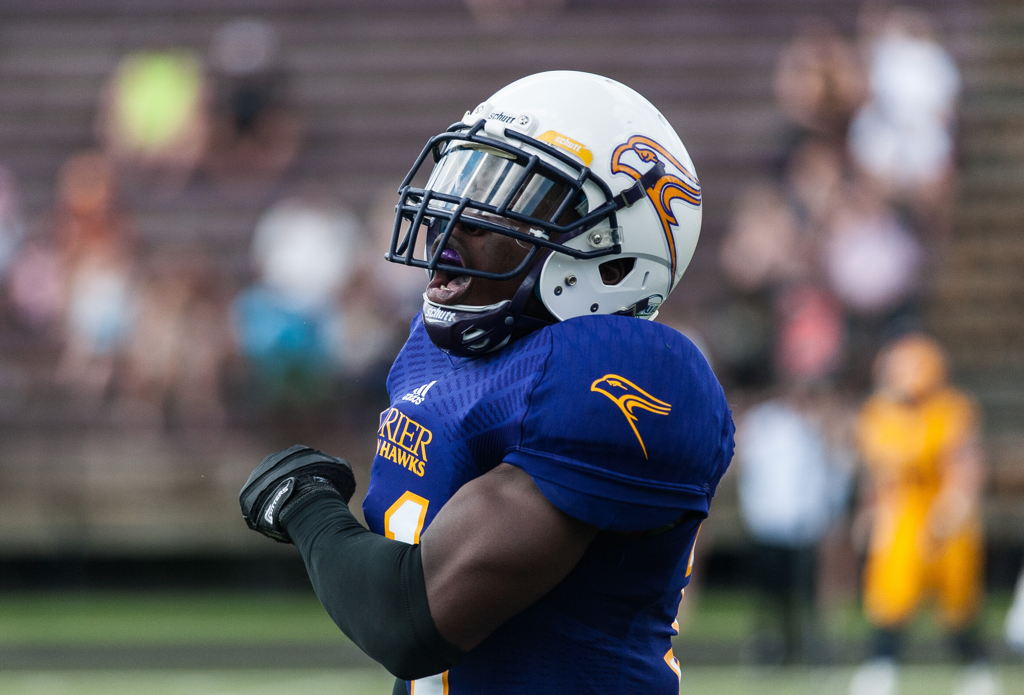Laurier Football 2016