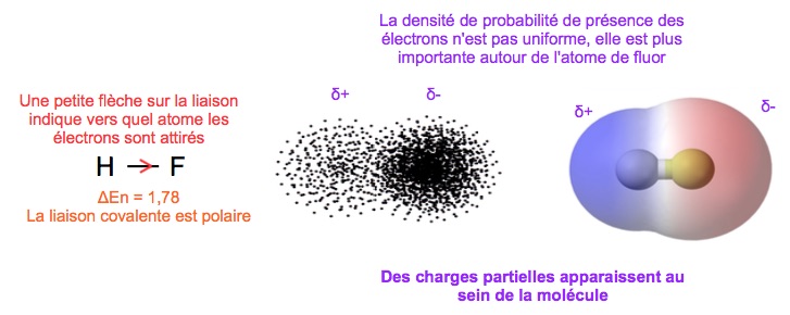 La polarité d'une molécule