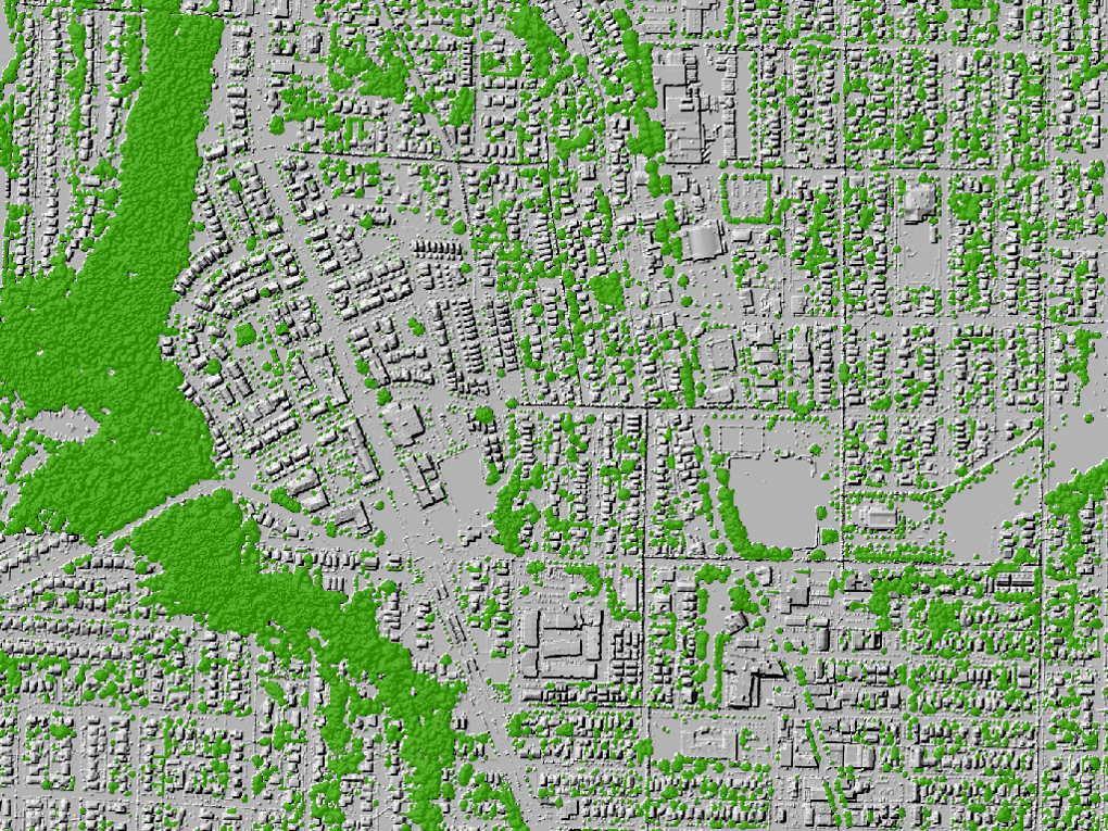 Seattle's Tree Canopy
