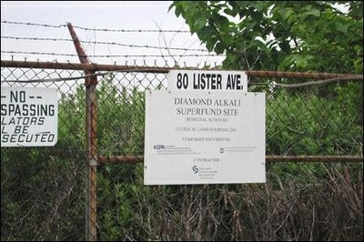 The Atlantic Killifish