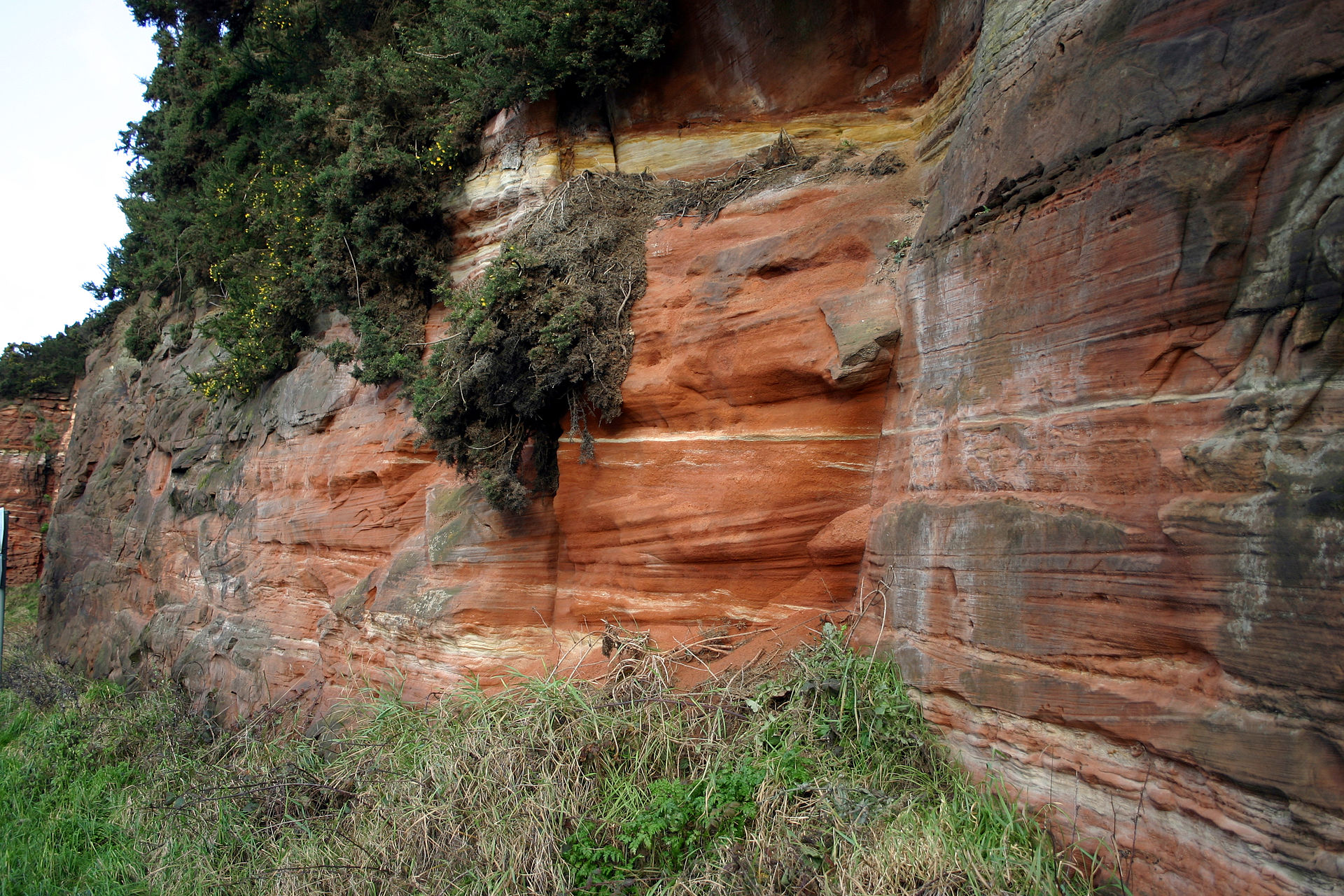 Rocce sedeimentarie clastiche