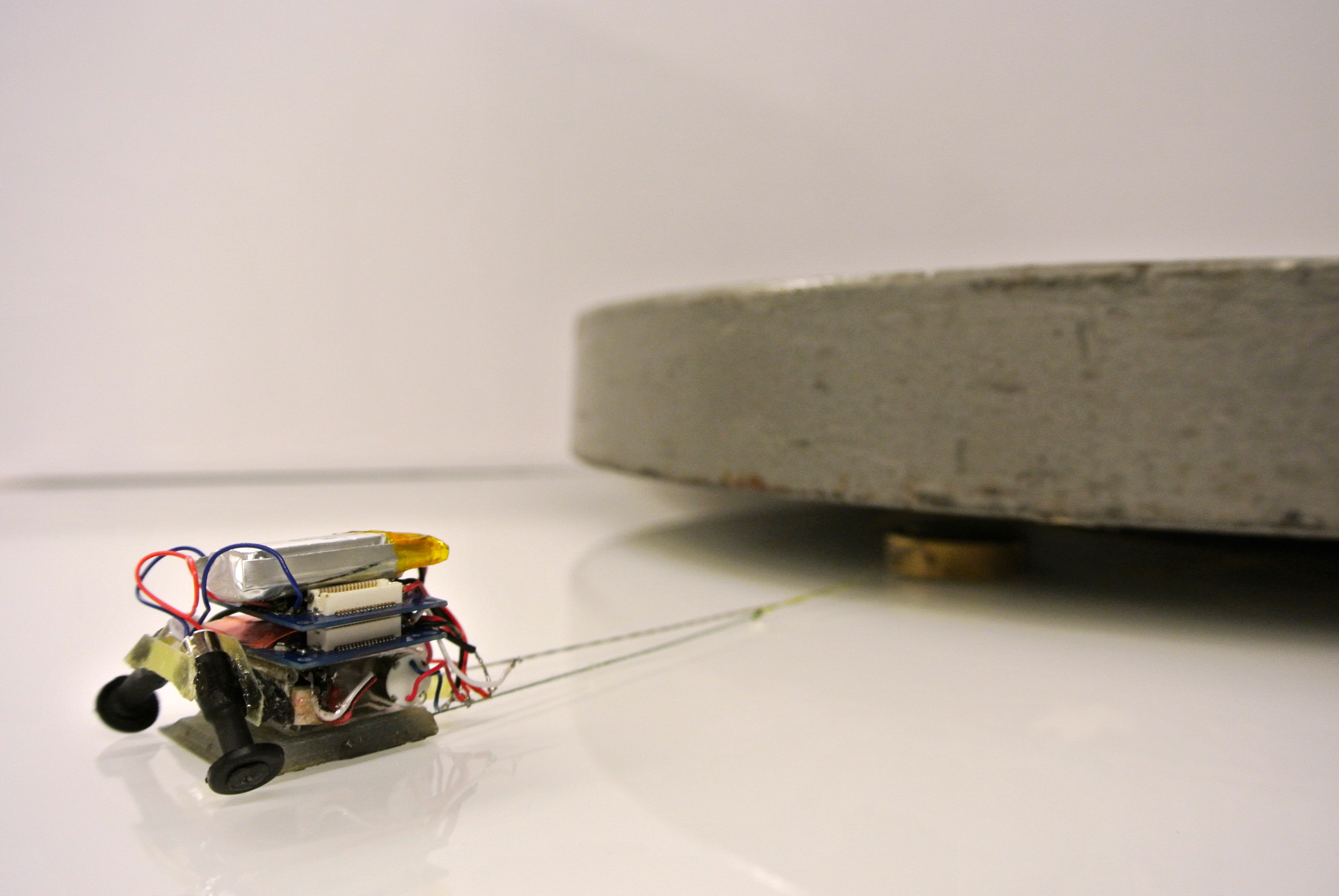 Micro-tug, le robot lézard