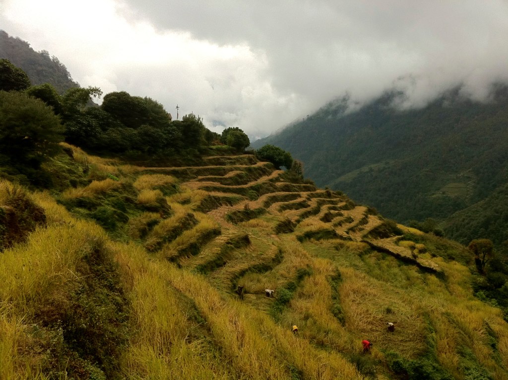 The Human Impact on Physical Weathering