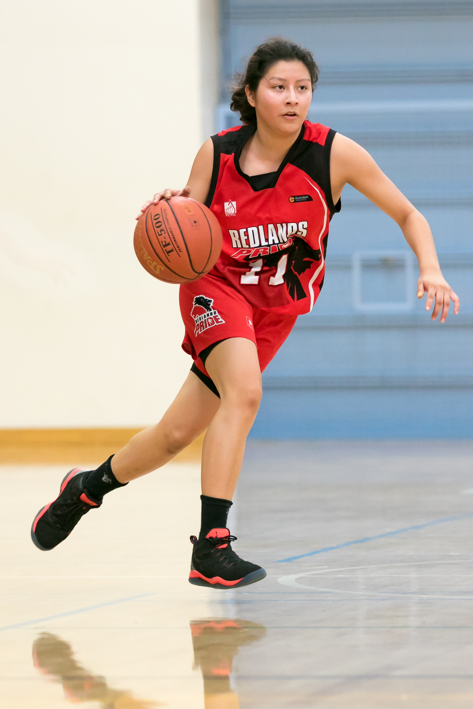 The Daily Dribble